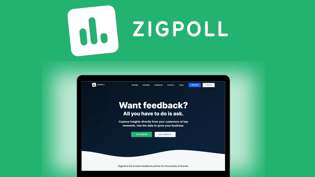 Zigpoll: Survey & Feedback Platform for Insights Zigpoll: Survey & Feedback Platform for Insights